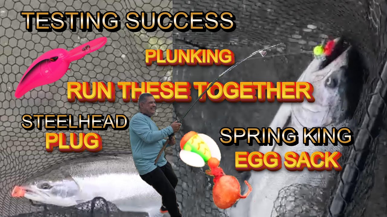 New TEST plunking test 2, King Salmon, with success this new rig caught ...