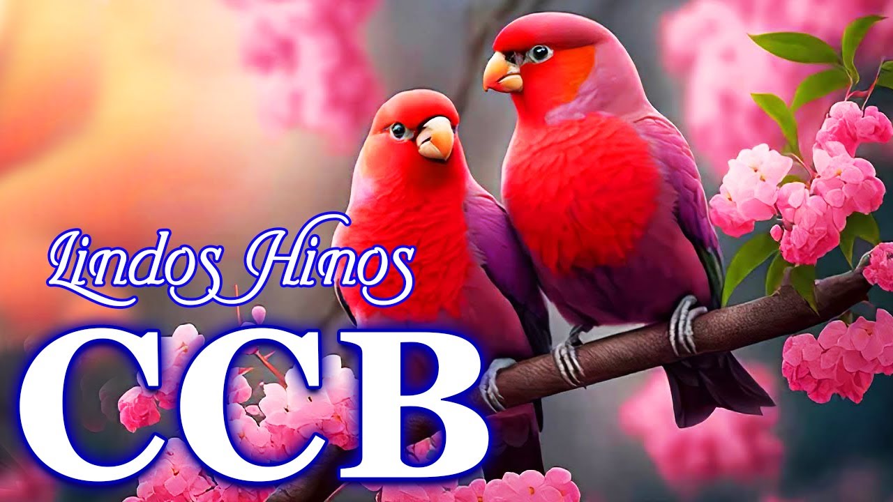 Hinos CCB 2023 - Melhores Hinos de Paz e Amor - A Melodia Do Hino Ccb ...
