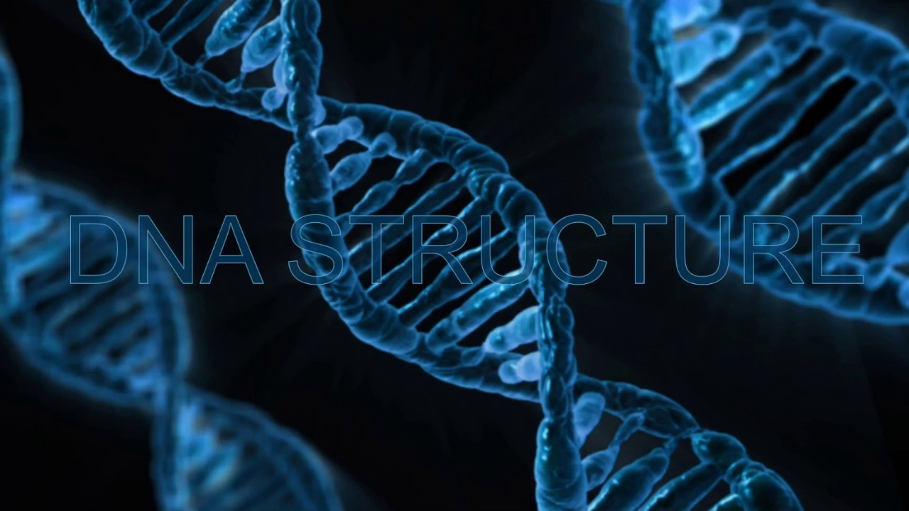 DNA Backbone - YouTube