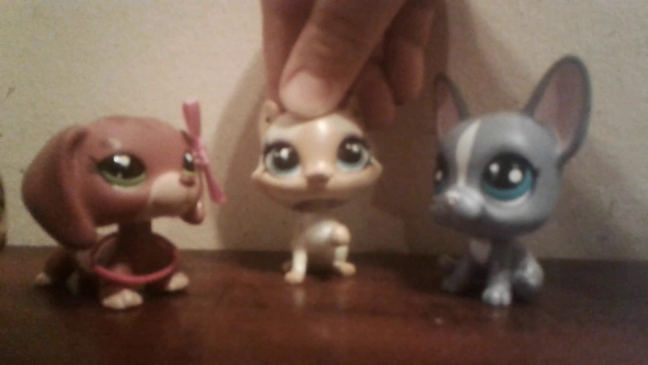 Lps songs in real life - YouTube