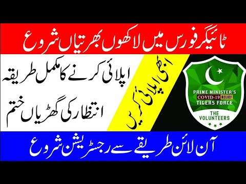Pakistan Tiger Force Registration - Tiger Force Online Apply - YouTube