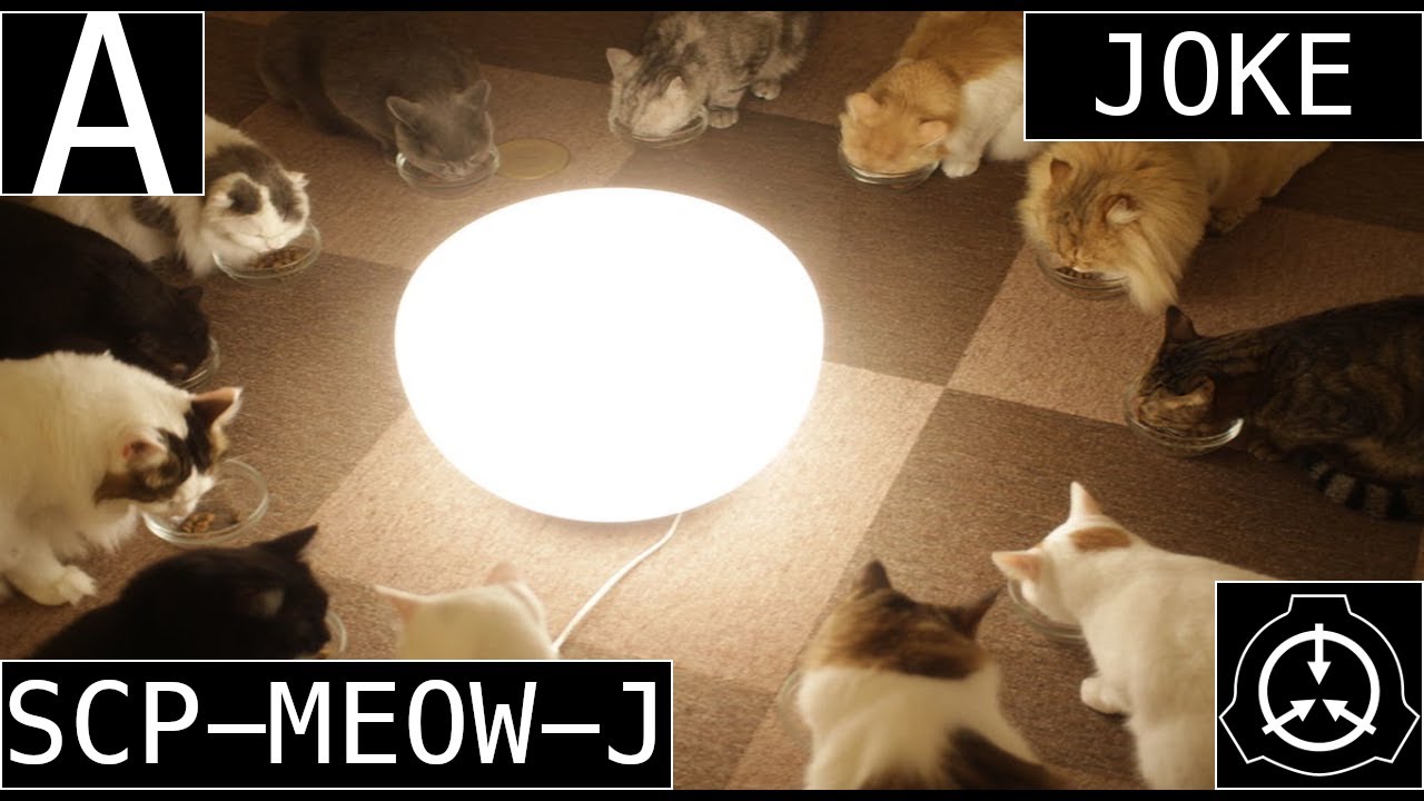 SCP-MEOW-J "Meow" [Meow Meowmeow] - YouTube
