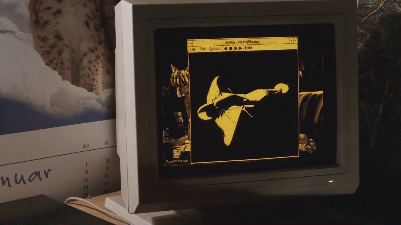 AAPlay plays FLC animations on a monochrome amber monitor - YouTube