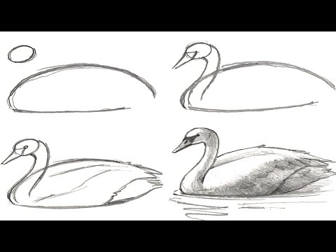 swan(हंस) ka chitra kaise banaye step by step //how to draw swan ...