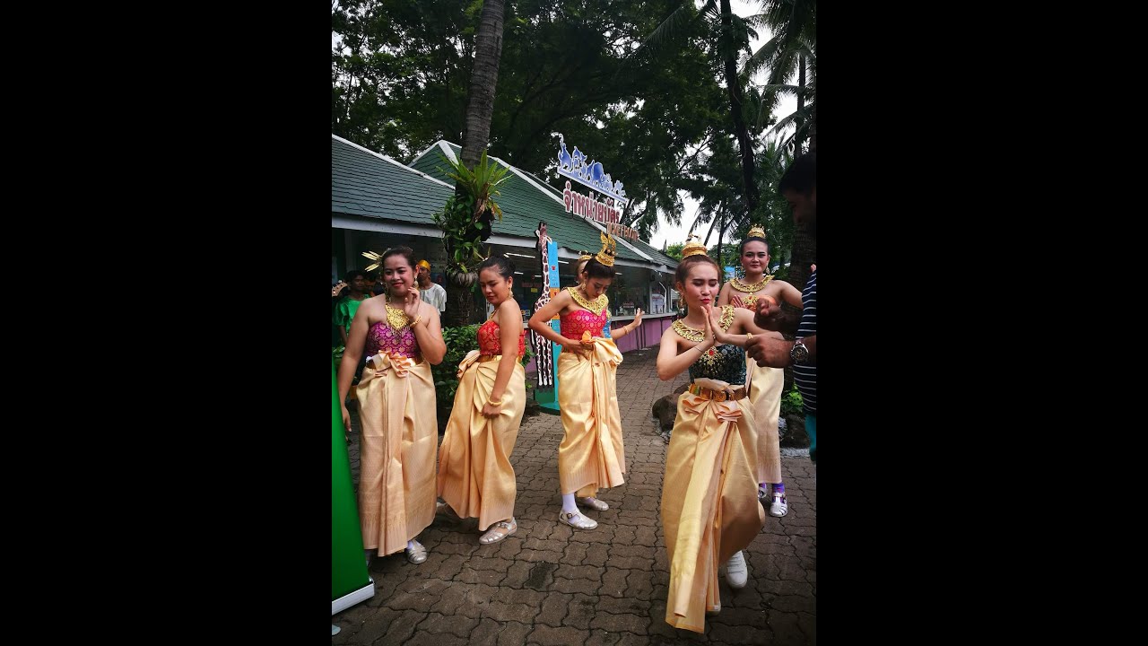 History of the term 'rice bunny' -- I started it! - YouTube