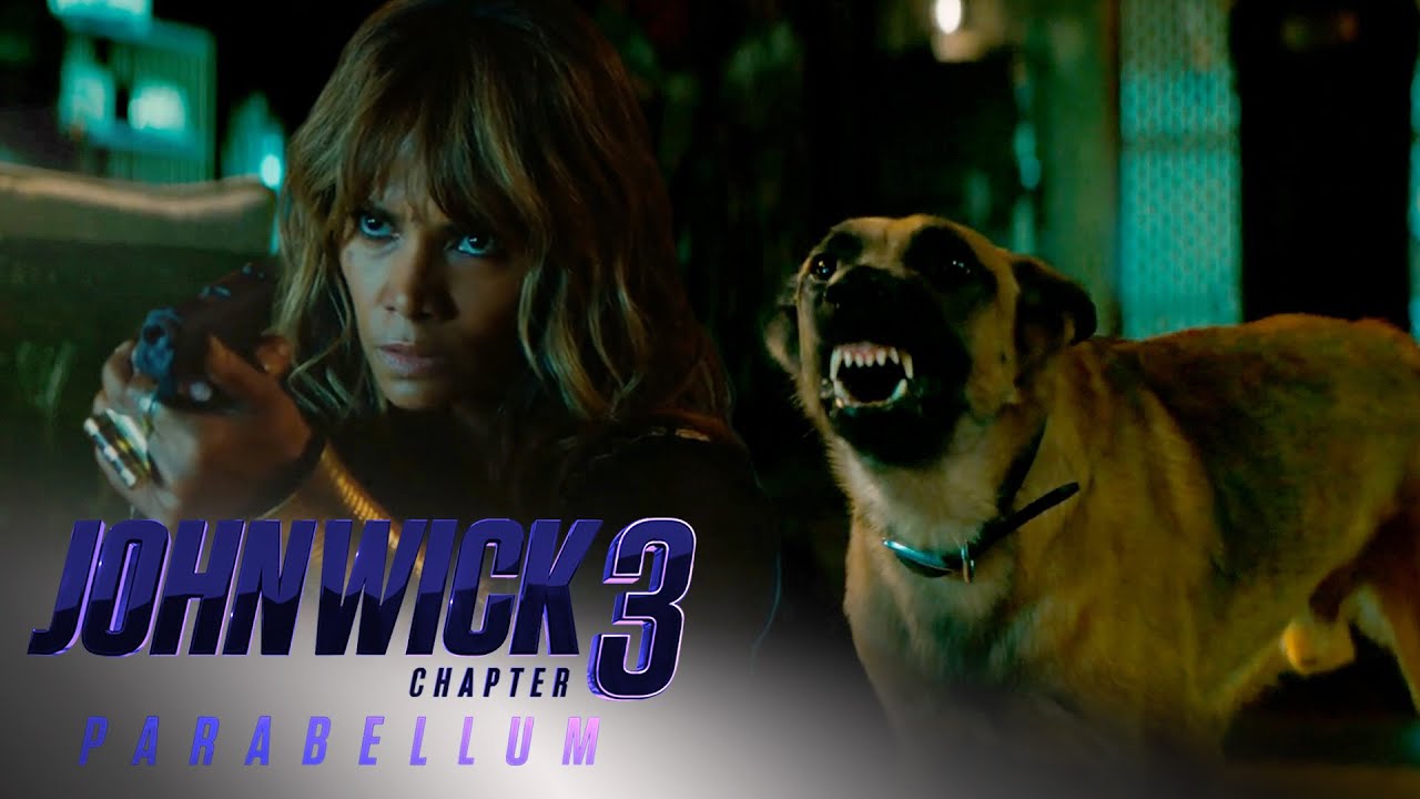 'John Wick Meets Sofia & Her Dogs' Scene | John Wick: Chapter 3 ...