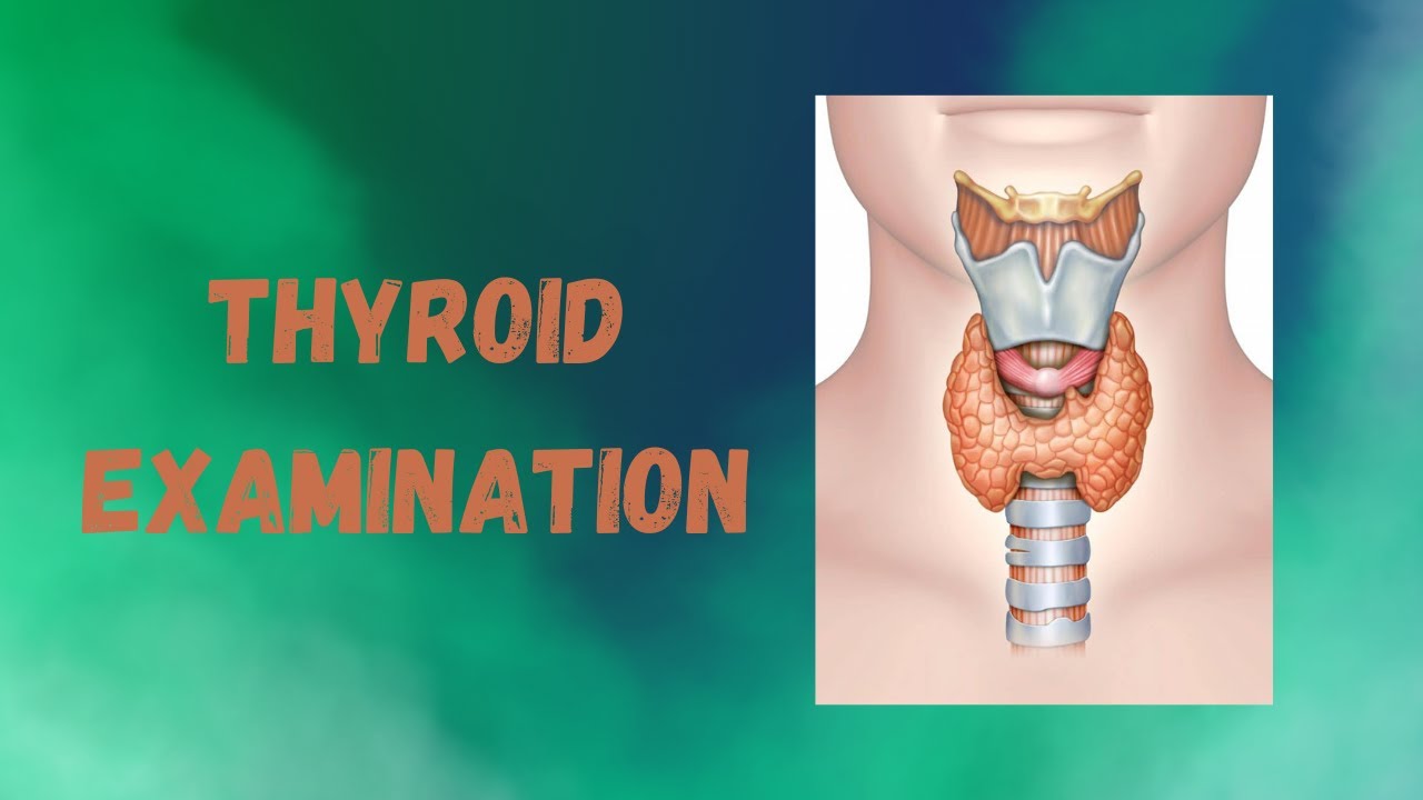 Thyroid Examination | Examination of Thyroid | How to Examine Thyroid ...