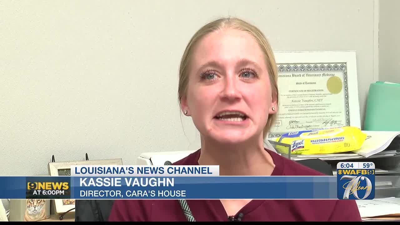 Cara's House seeks help keeping animals warm this winter - YouTube