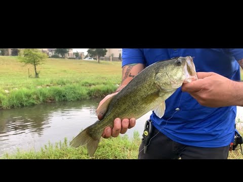 Fishing for anything - YouTube