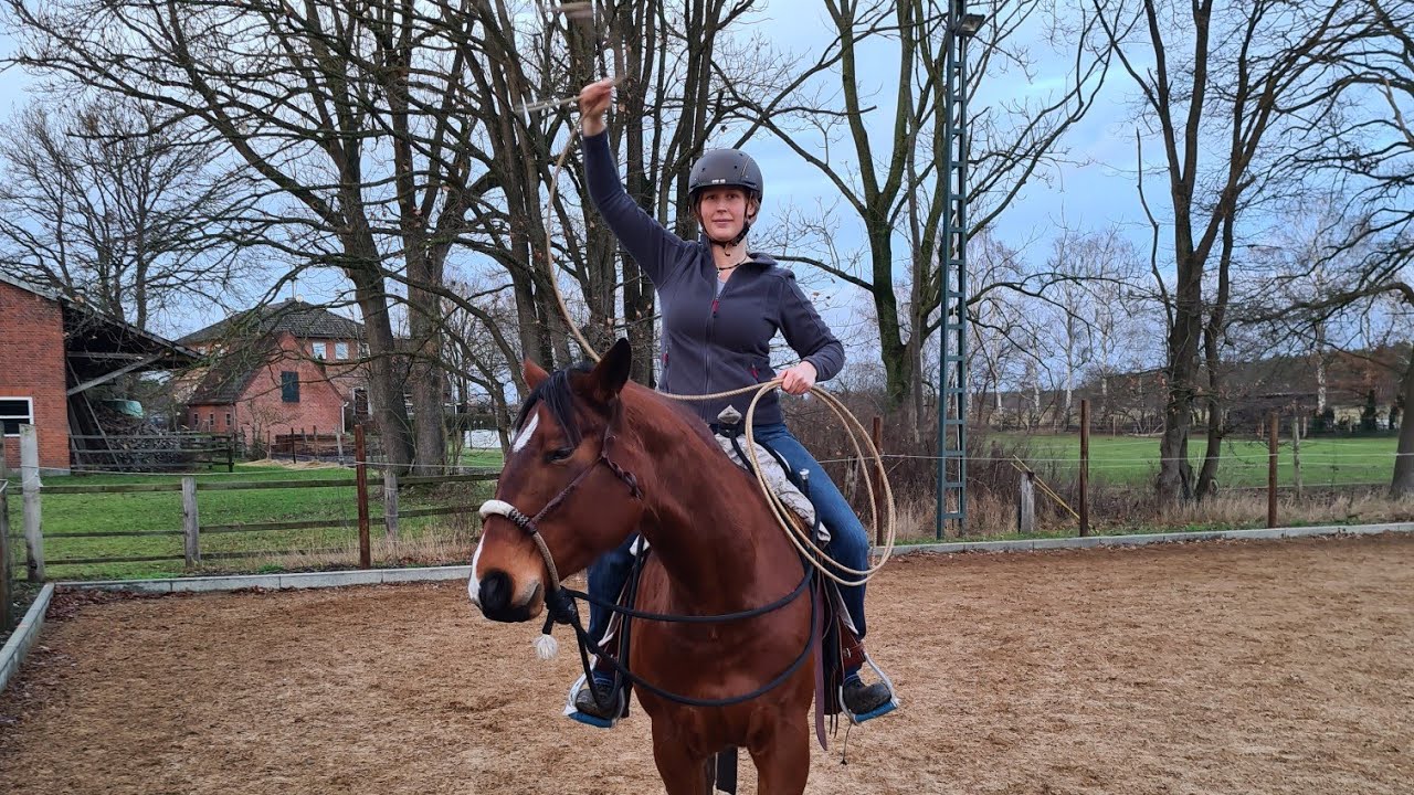 Westernreiten, Cutting und Lasso Werfen..- Horsmanship mit Anna Carolin ...