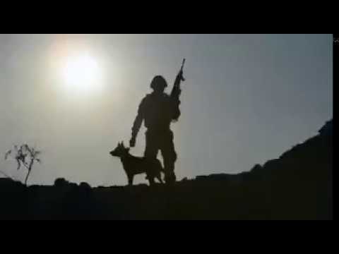 Vatanın Beka Si  Icin Uzman Cavuslar Her Yerde | Fıratın Dogusuna Kadrolu Girelim