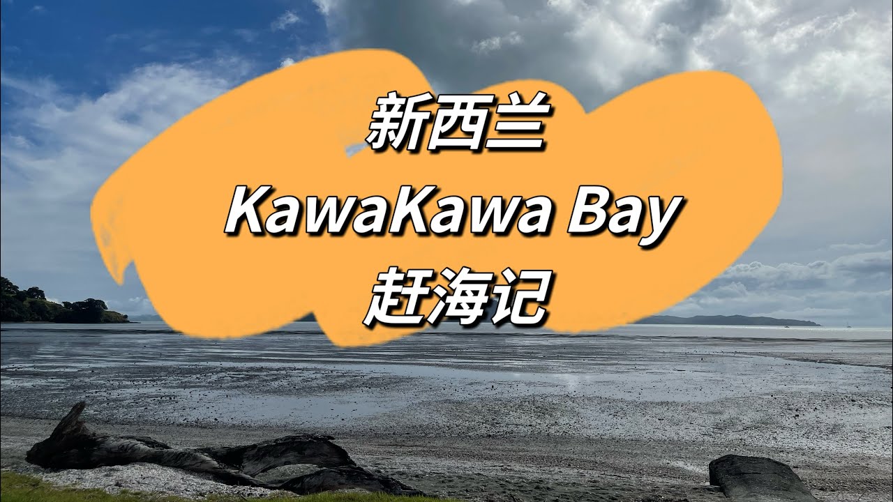 KawaKawa Bay 赶海记～新西兰抓啦啦 #打工度假 #新西兰奥克兰 #新西兰的生活 #赶海 - YouTube