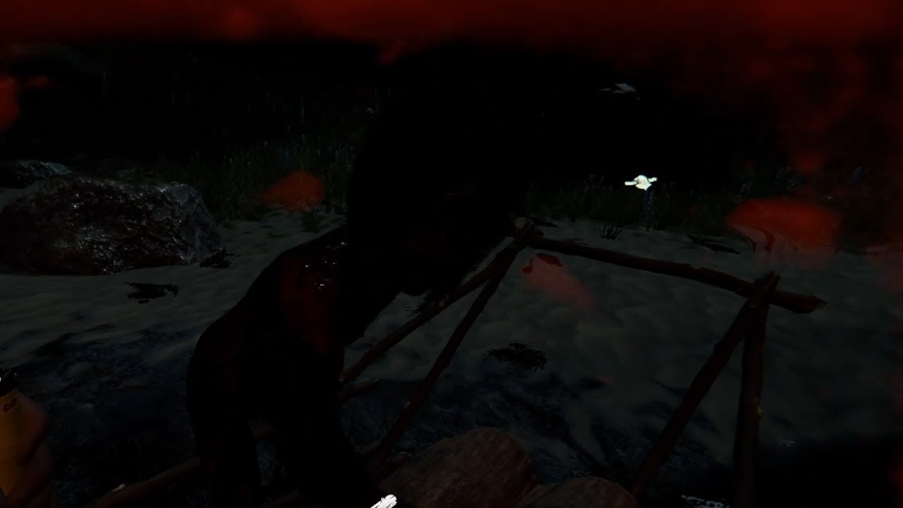 The forest experience - YouTube