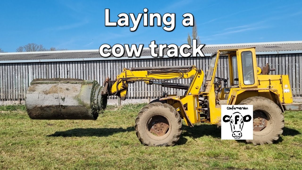 Laying an AstroTurf cow track. - YouTube