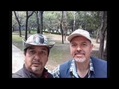 DIRECTO DESDE TIJUANA OSCAR PAYÁN EN LA CDMX - YouTube