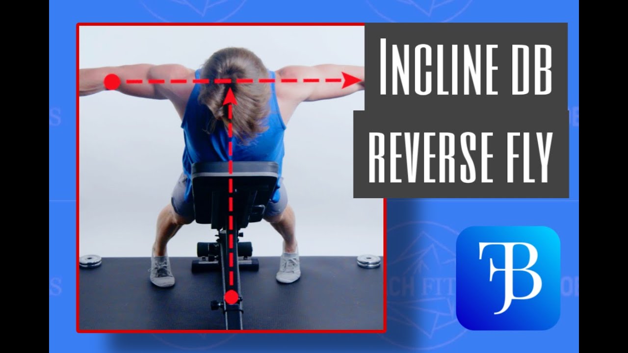 Incline DB Reverse Fly- BUILD YOUR UPPER BACK! - YouTube