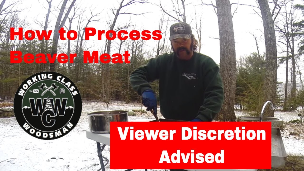 Processing a Beaver for meat and the table (Somewhat graphic, obviously ...