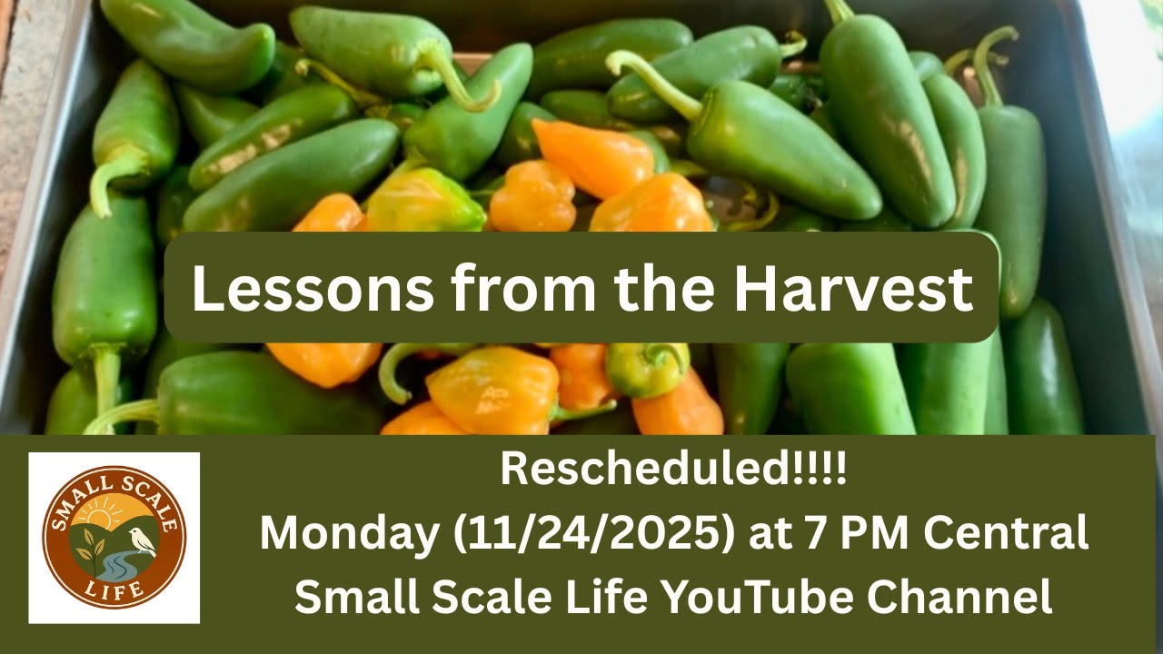 Lessons from the Harvest (2025 Garden Season) - YouTube