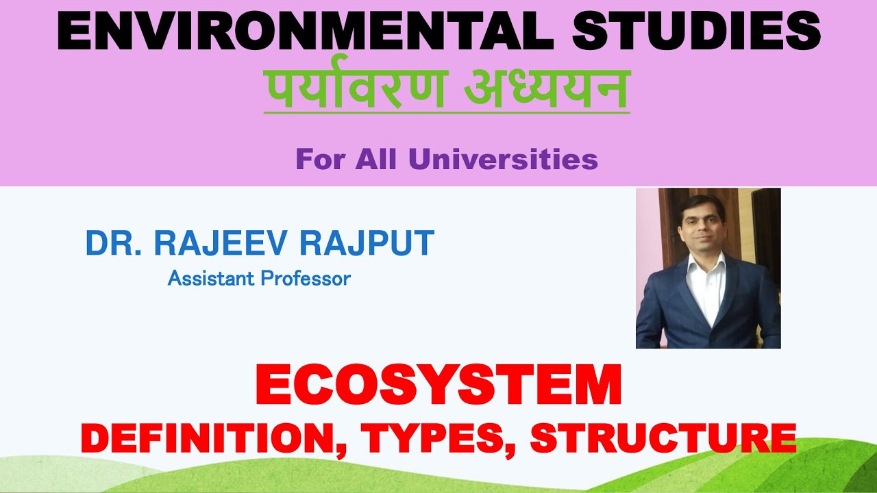 Ecosystem | Definition | Types | Structure of Ecosystem | Environmental ...