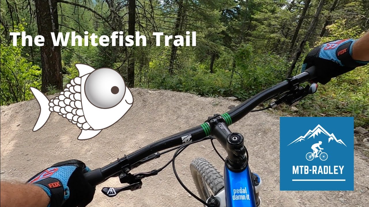 WHITEFISH TRAIL - Mountain Bike Trail Ride! - YouTube