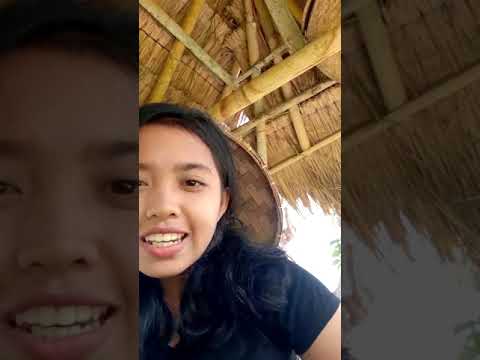 daily life - live streaming - jia amalia