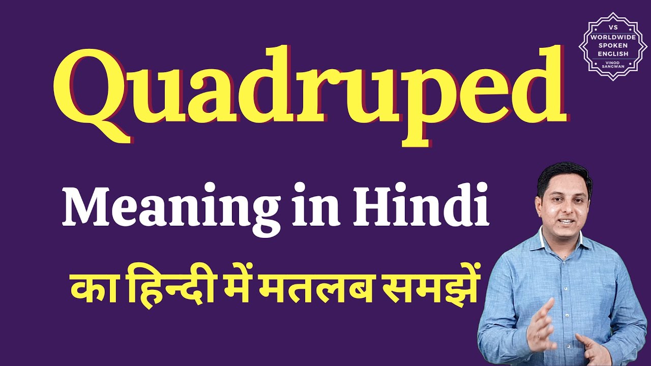 Quadruped meaning in Hindi | Quadruped ka matlab kya hota hai | English vocabulary words - YouTube