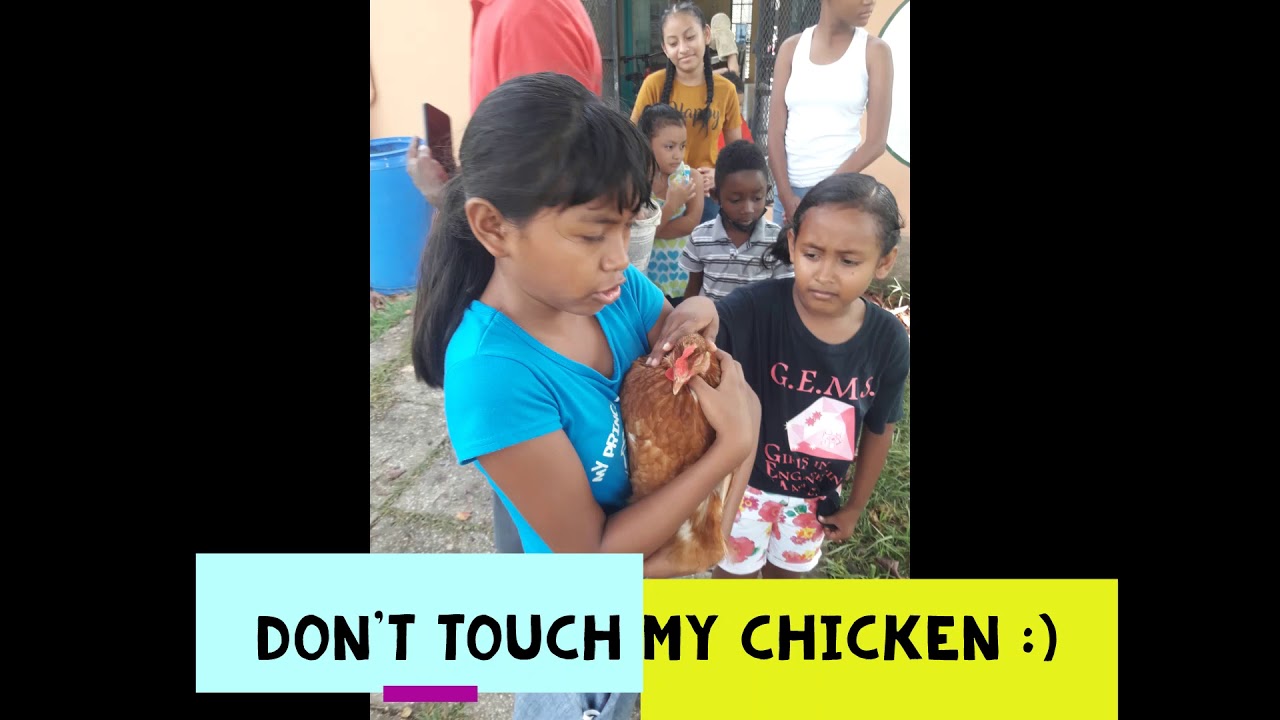 BELMOPAN PUBLIC LIBRARY 2020 SUMMER PROGRAM PHOTO SLIDE - YouTube