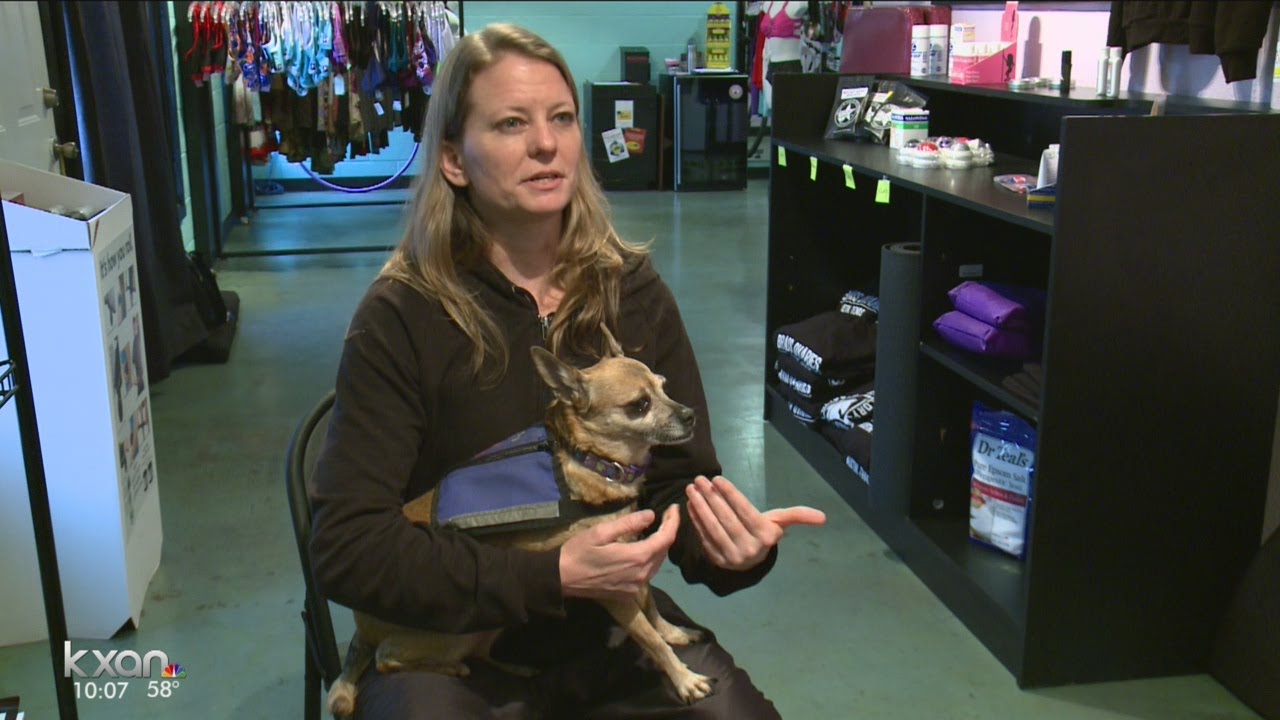Fasten rideshare driver denies ride to Austin veteran, service dog ...