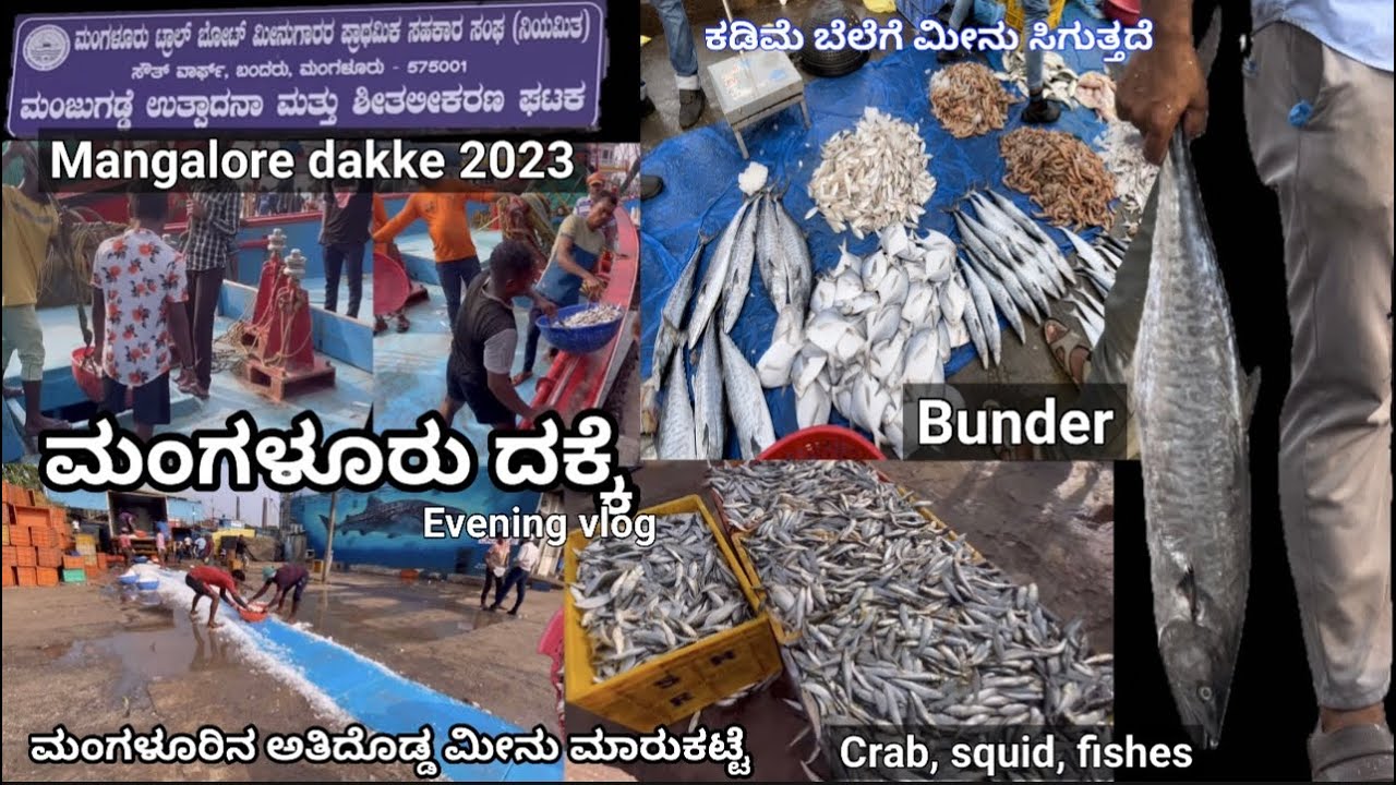 Mangalore dakke evening tour | manguluru | bunder| largest fish market ...