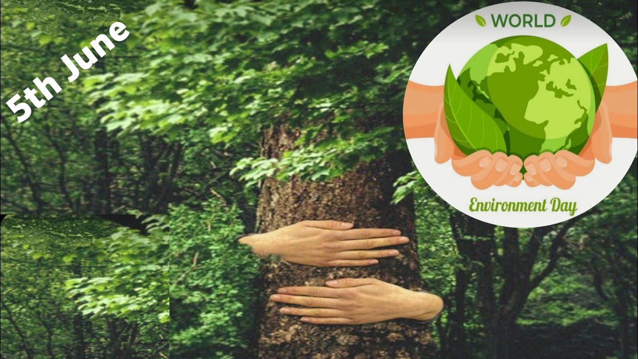 World Environment Day Status 2022//Environment Day Whatsapp Status//5th ...