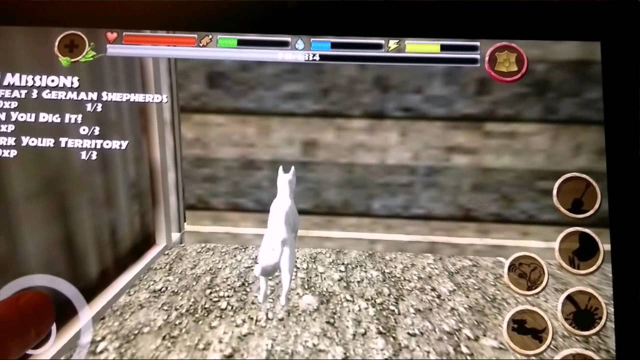 Stray Dog Simulator/For Begginer's - YouTube