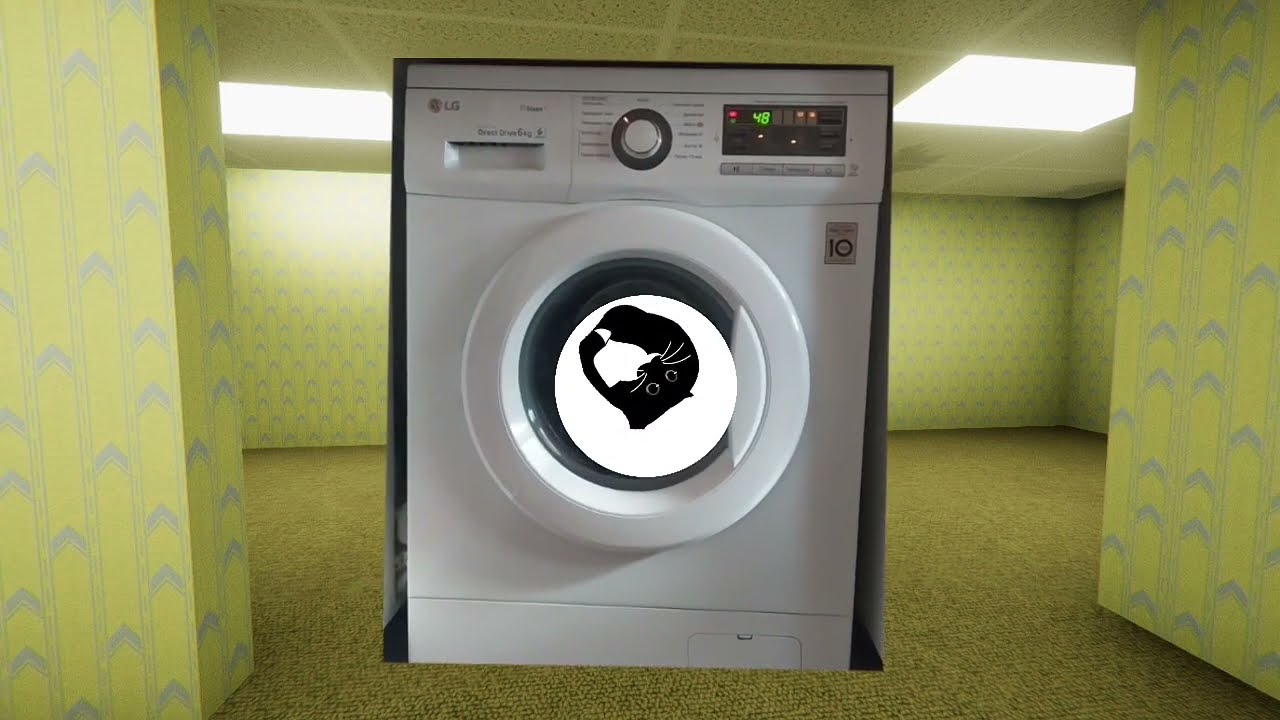 Backrooms and spinning Maxwell the Cat in the washing machine - YouTube