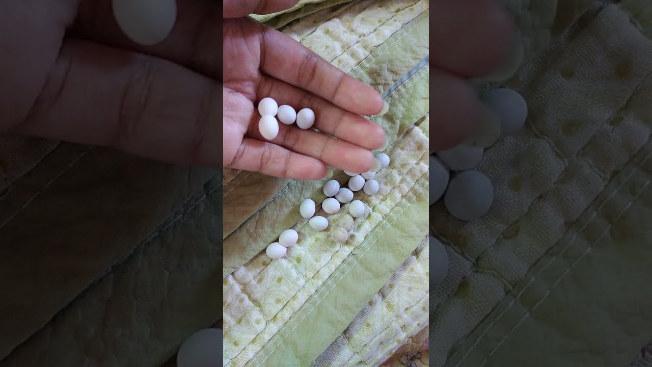 NAKAKITA NG ITLOG NG BUTIKI HABANG NAGLILINIS NG BAHAY - YouTube