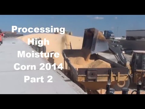 High Moisture Corn Processing 2014 Part 2 - YouTube