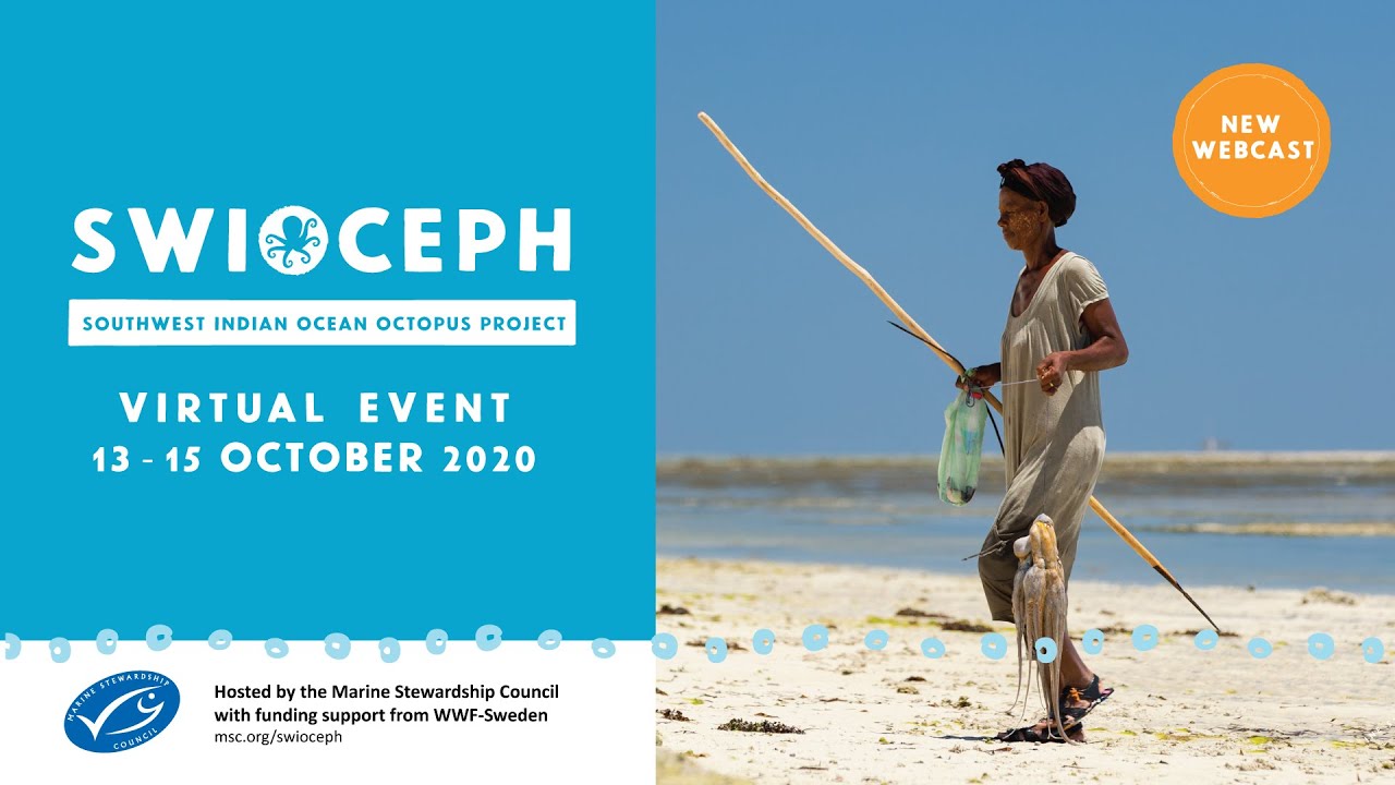 The global octopus market and sustainability opportunities for ...