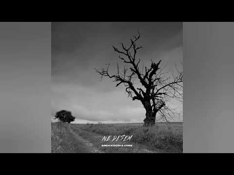 Eren Koçin & CN02 - Ne Desem?