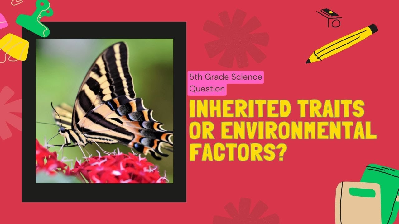 Inherited Traits vs Environmental Factors: 5th Grade Science, STAAR ...