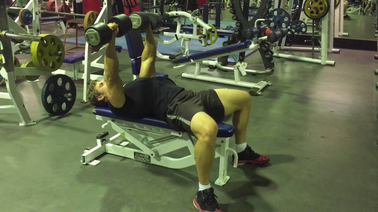 Flat DB Bench Press Demo - YouTube