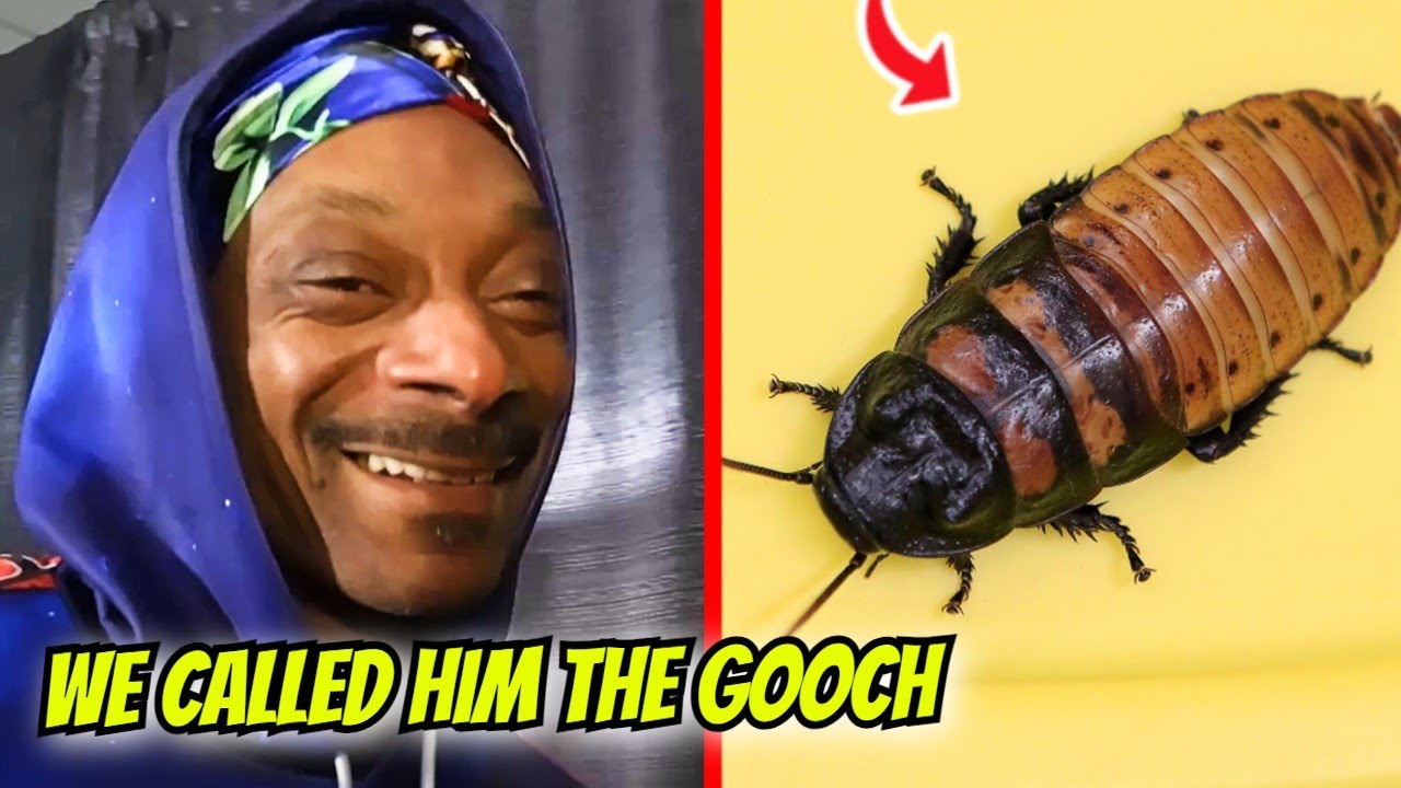 Snoop Dogg Had A Pet Cockroach He Named The GOOCH - YouTube