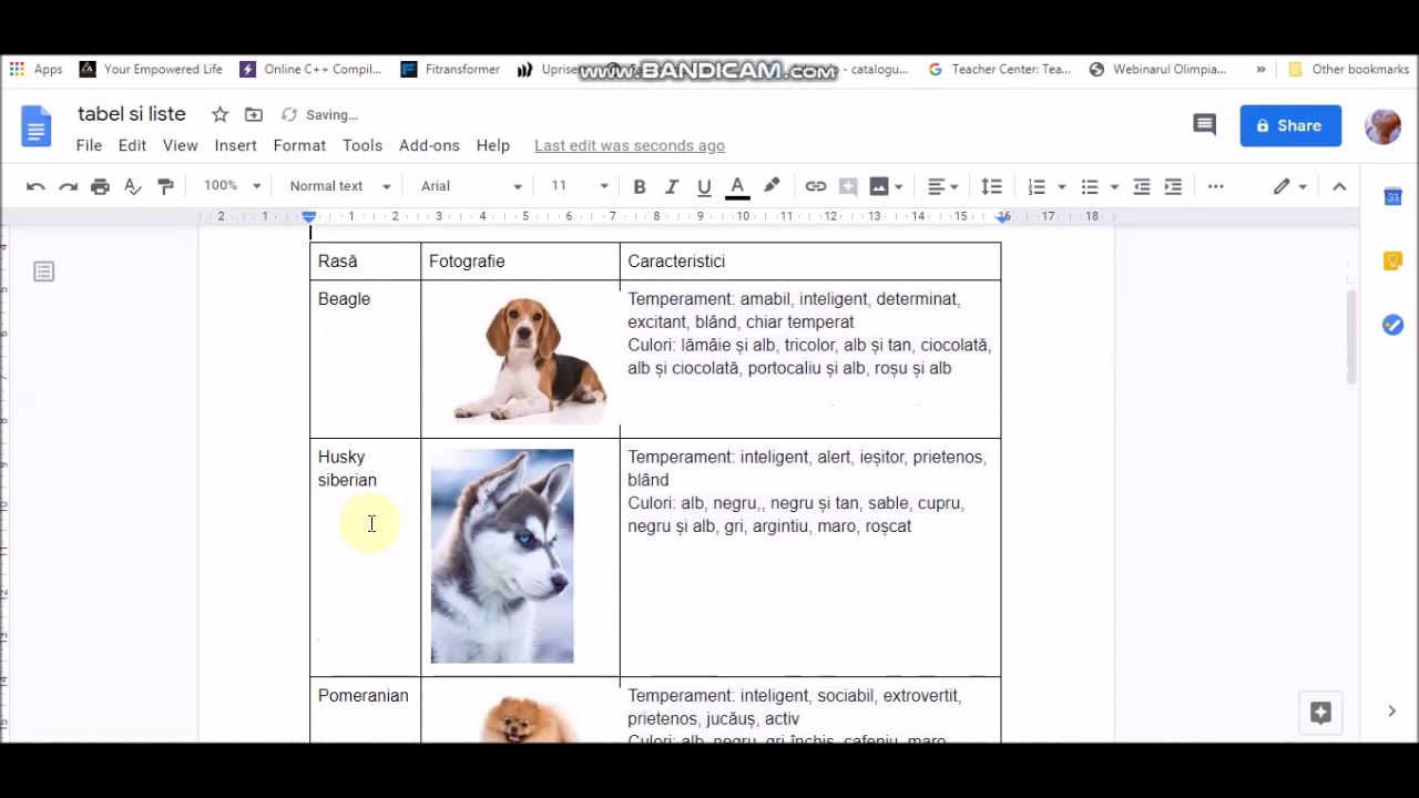 Tabele si liste in Google Docs - YouTube