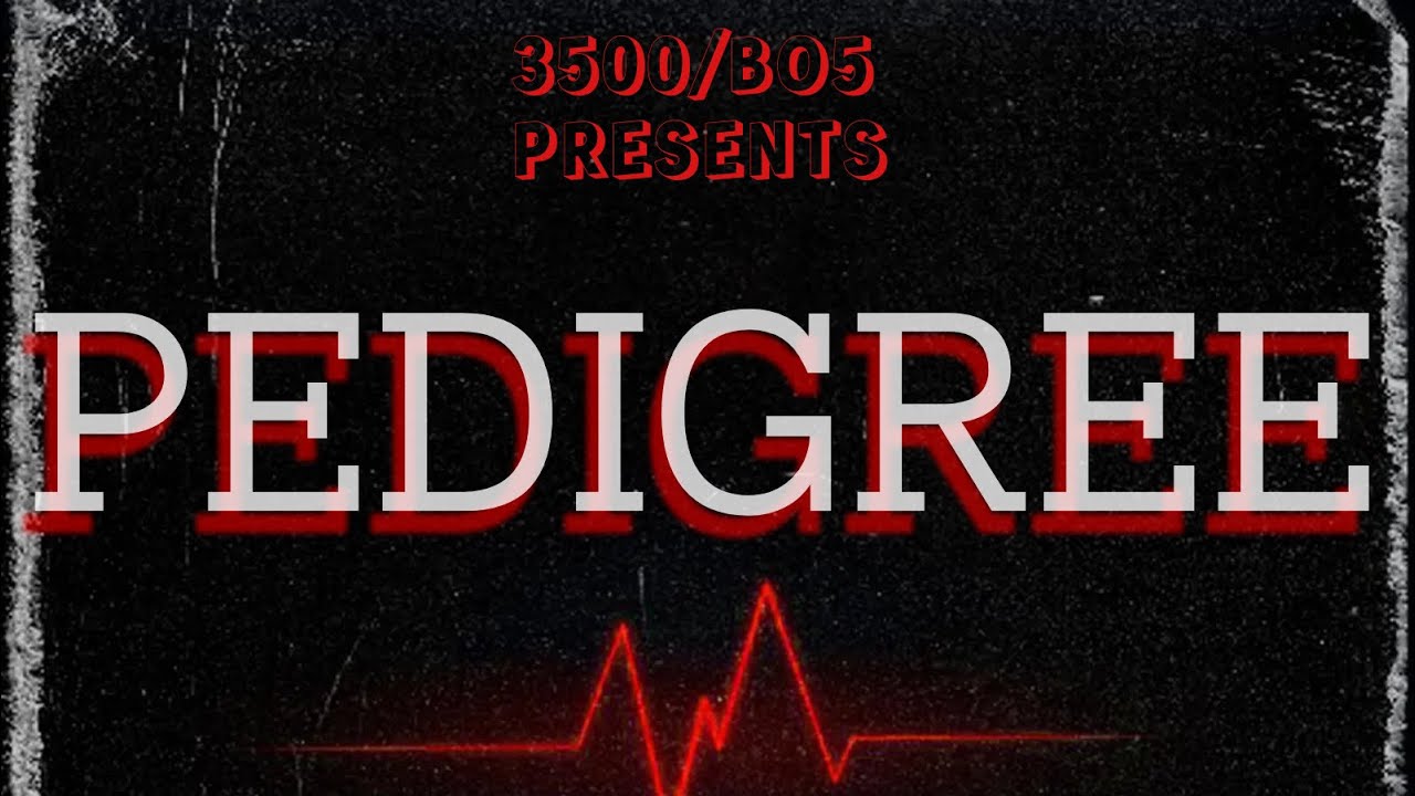 Doodie x2- Pedigree (sped up version) Prod.Roguishbeats - YouTube