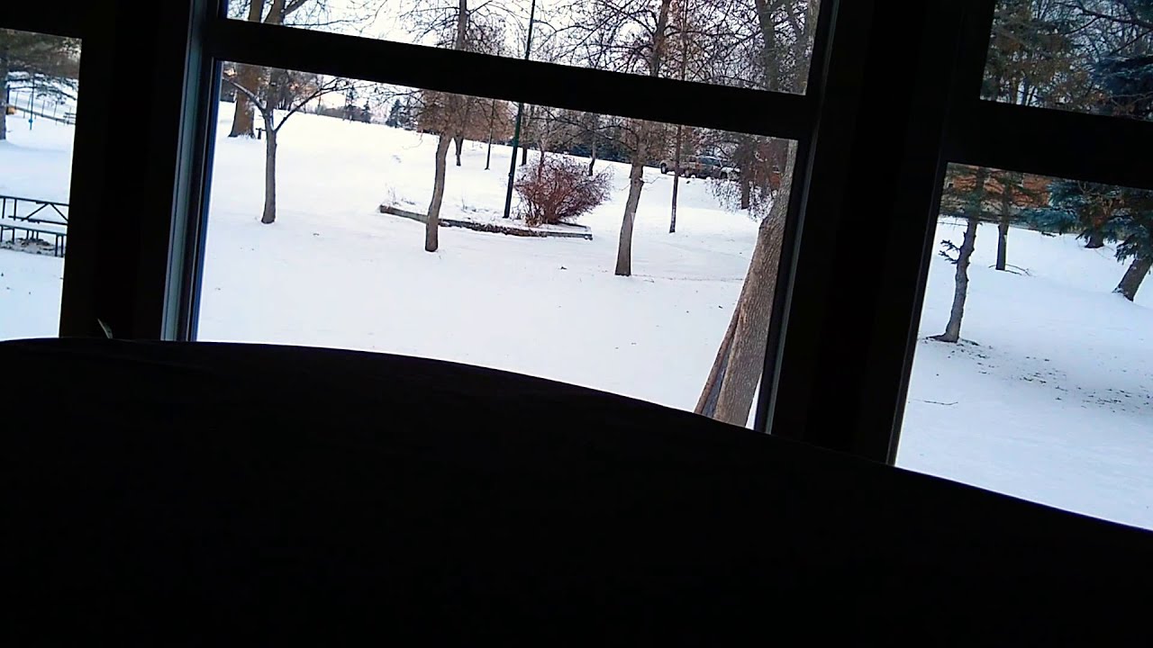 "Red Squirrel Song" - YouTube