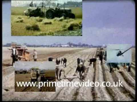 Fenland Farming 1955 DVD - YouTube