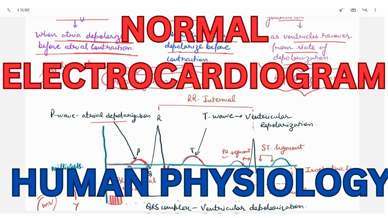 Normal Electrocardiogram, ECG waves, intervals and segments, clinical ...