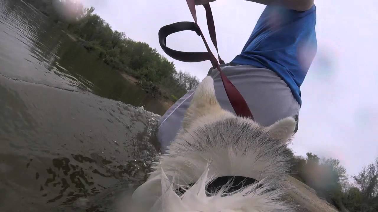 TJ Secret Beach Austin TX - YouTube
