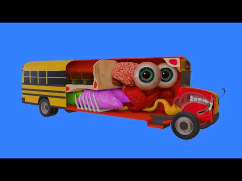 How a School Bus works
