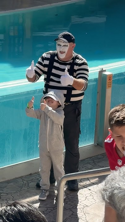 So Cute 🥰 Tom Mime Seaworld Seaworldmime Youtube
