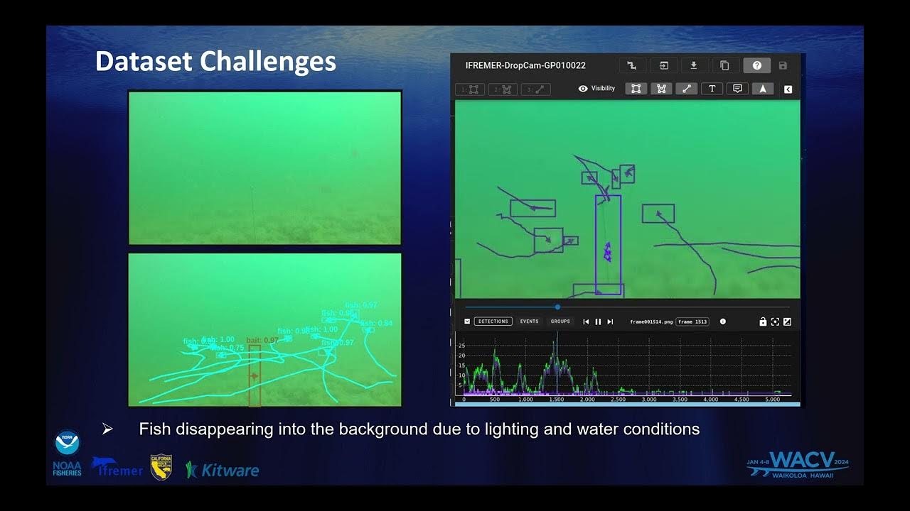 FishTrack23: An Ensemble Underwater Dataset for Multi-Object Tracking ...