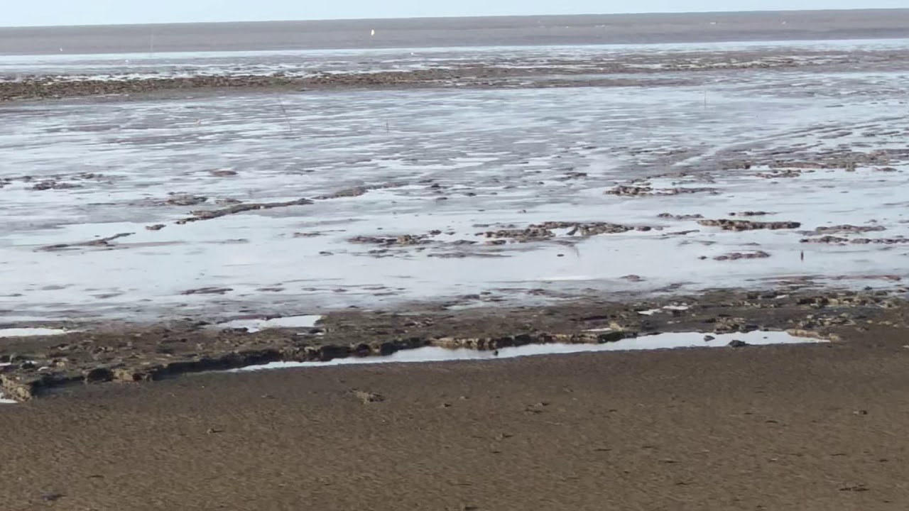 Bush lot beach - YouTube