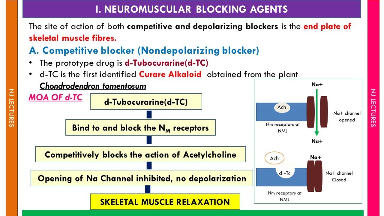Skeletal muscle relaxants - YouTube